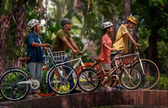 Bali Bike Tours: Cycling Through Rice Fields and Villages – Booking ...